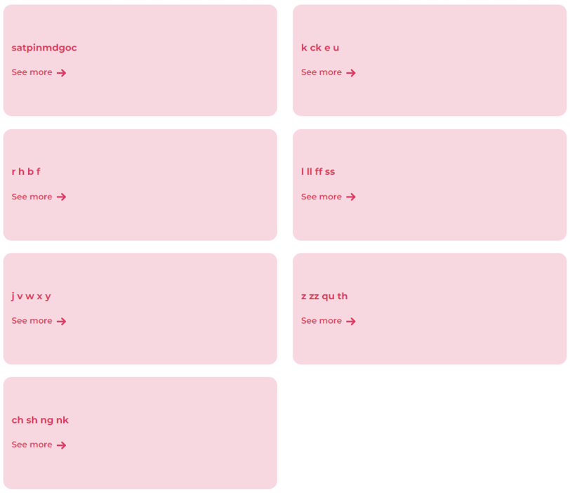 How does the SEND lesson planning work?